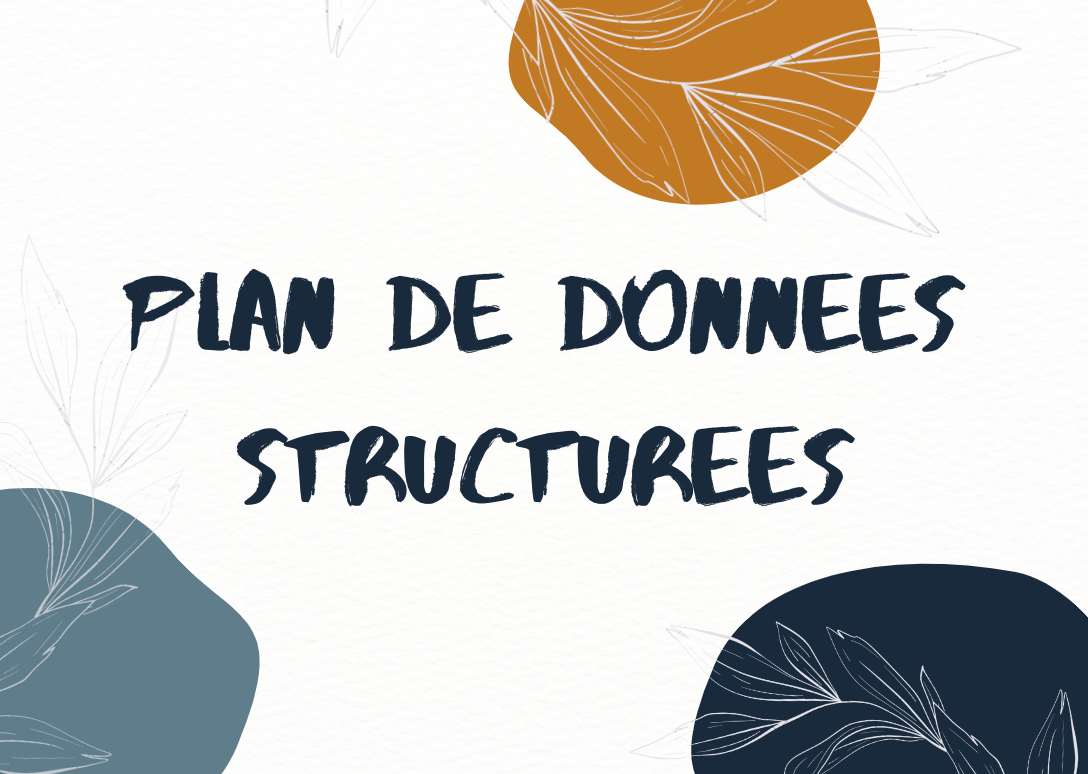 Données structurées : définition, enjeux et mise en place | Sophie Praud